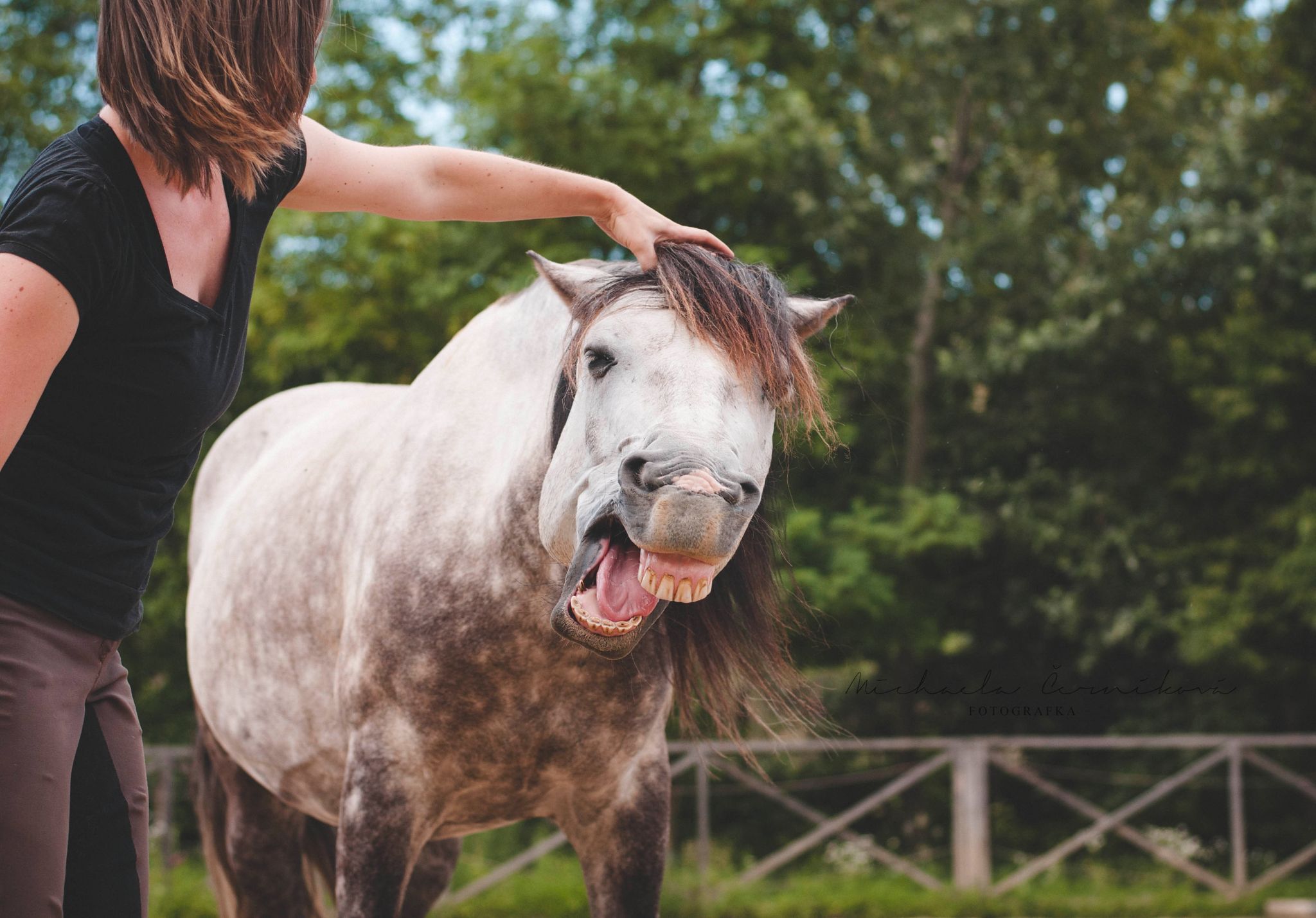 Horse Body Language: Relaxation vs. Calming Signals Explained