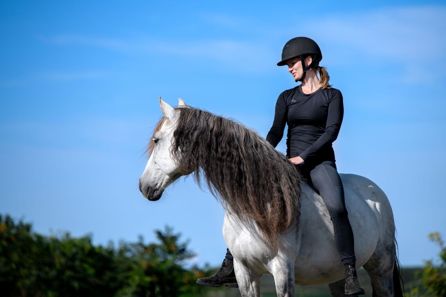 Ten Commandments for Working (Not Only) with Young Horses | Awakened ...