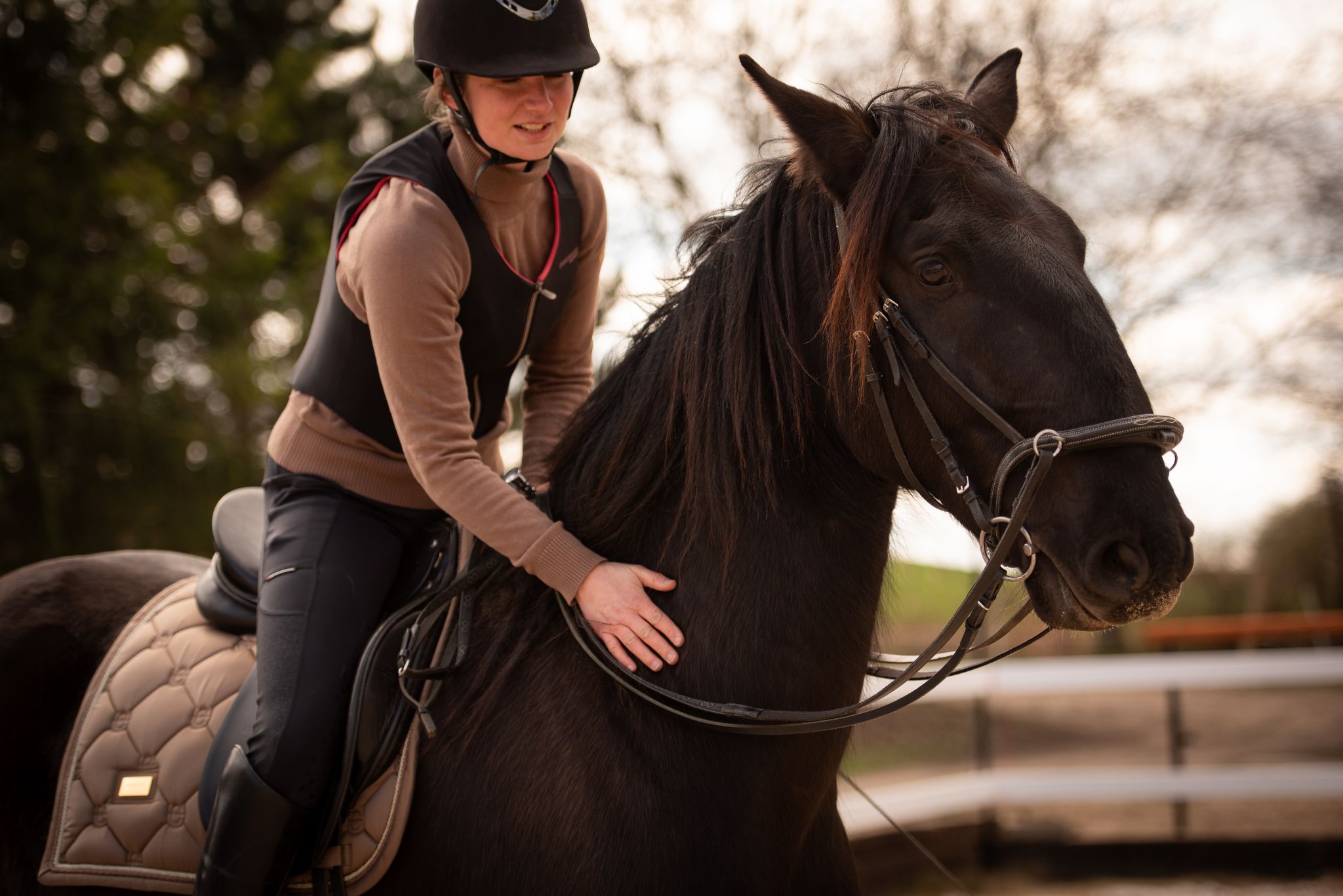 Ten Commandments for Working (Not Only) with Young Horses | Awakened ...