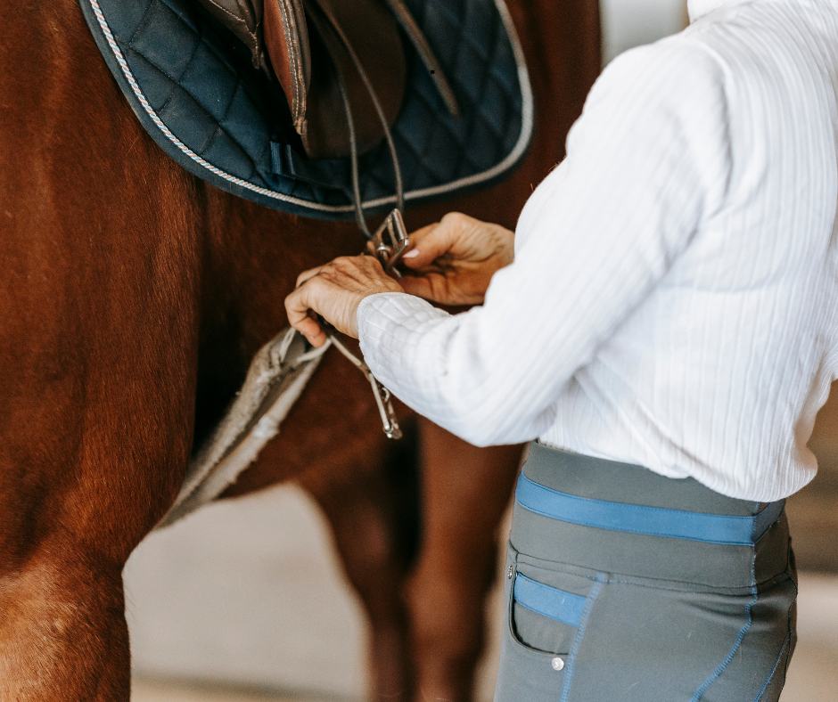 Girth-Aversion in Horses: Understanding, Addressing, and Managing ...